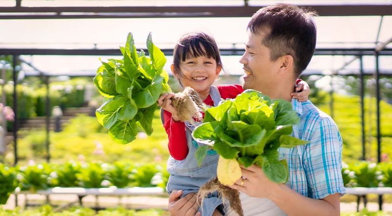 The Ultimate Vegetable Planting Guide For Melbourne | All Green